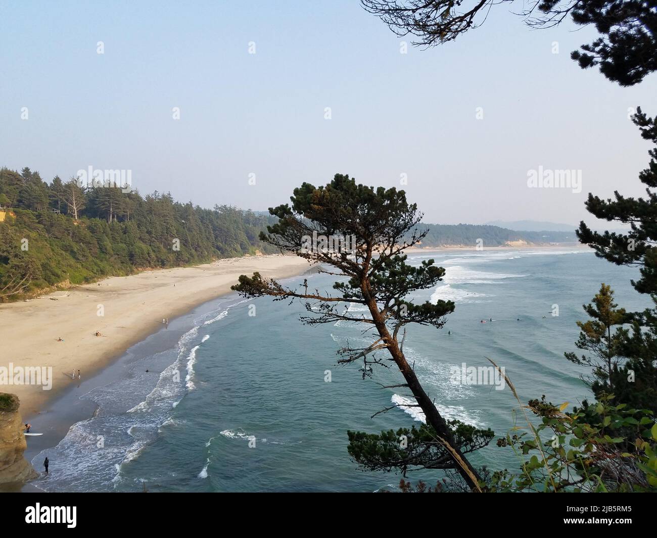 Water wave and beach tree hi-res stock photography and images - Alamy