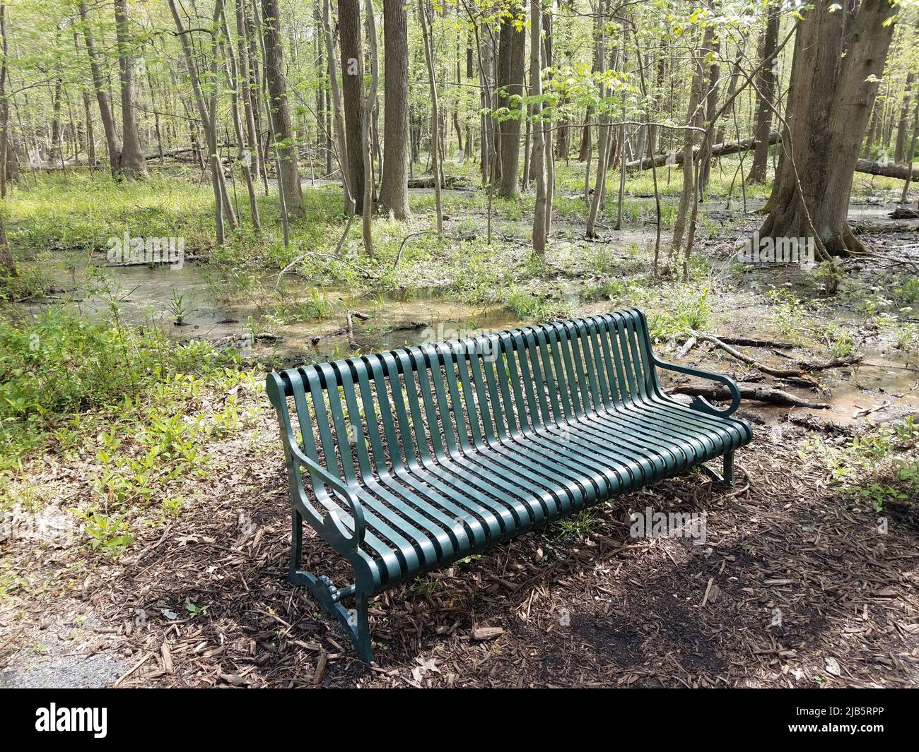Seat in nature hi-res stock photography and images - Alamy