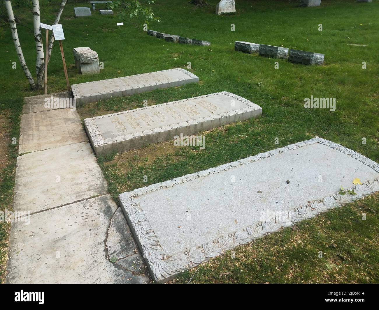 Robert grass hi-res stock photography and images - Alamy