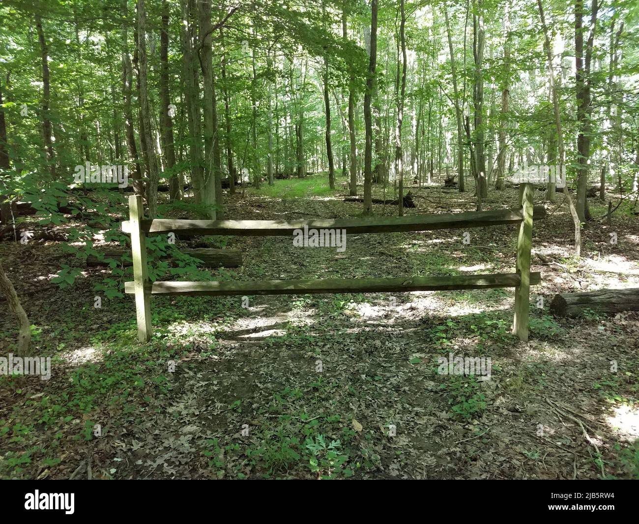 Tree branch fence hi-res stock photography and images - Alamy