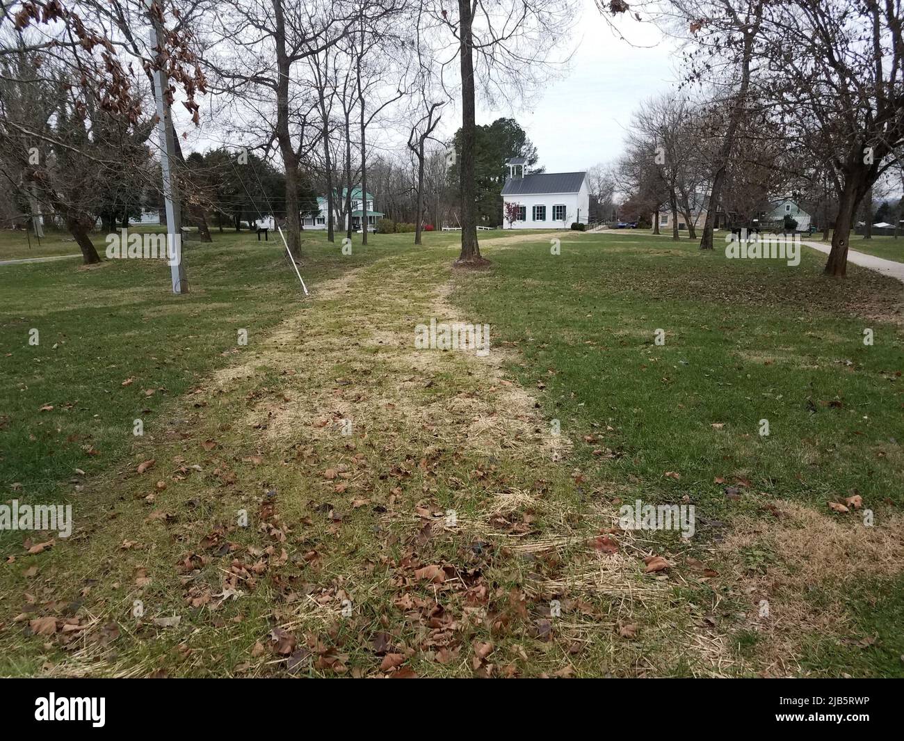 green grass or lawn with newly planted grass with straw or hay Stock ...