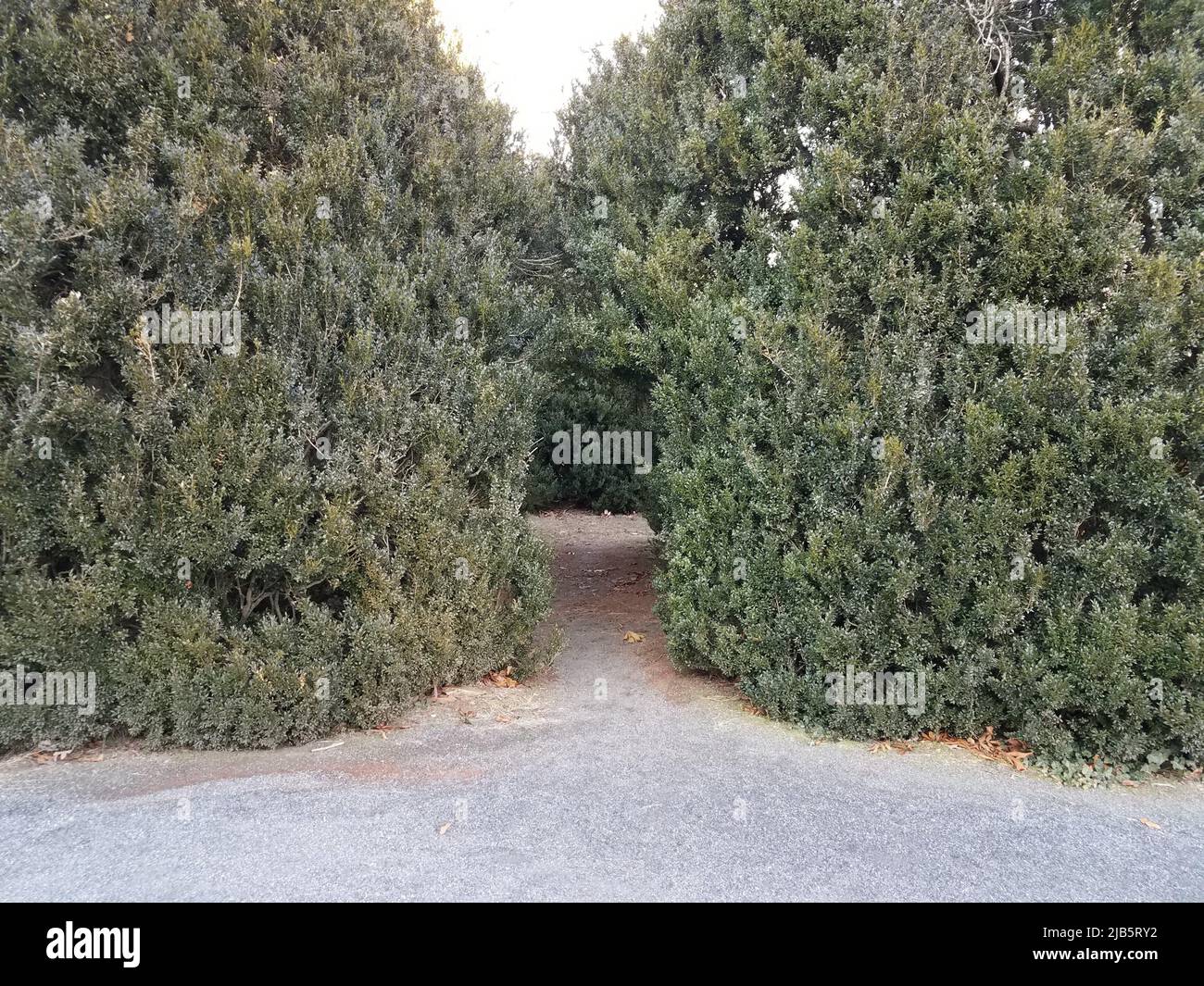 Green entrance door hi-res stock photography and images - Alamy