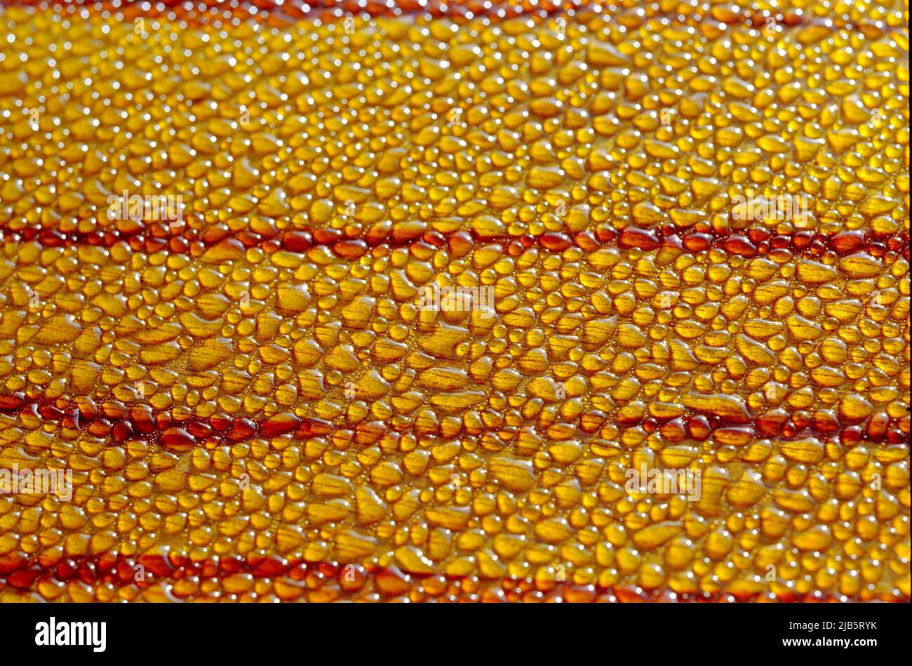 Morning dew drops on a varnished boat cockpit table Stock Photo - Alamy
