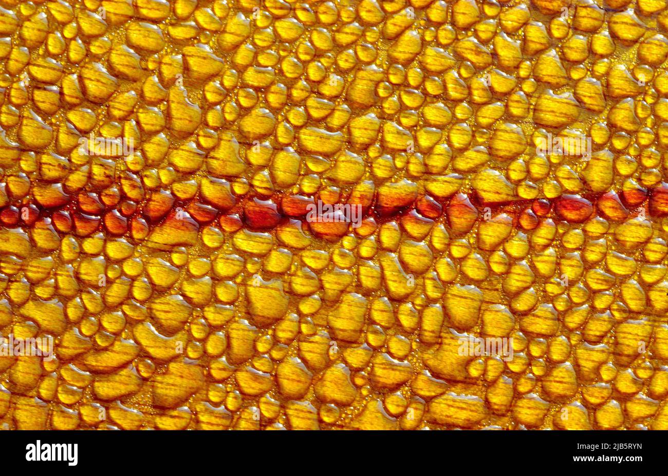 Morning dew drops on a varnished boat cockpit table Stock Photo - Alamy