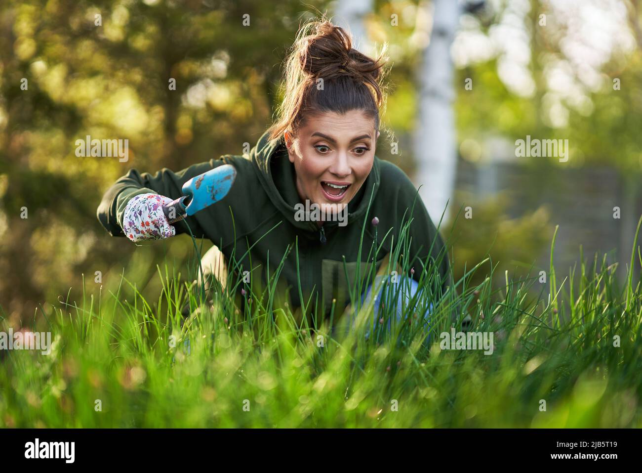 Picture of woman working with tools in the garden Stock Photo - Alamy