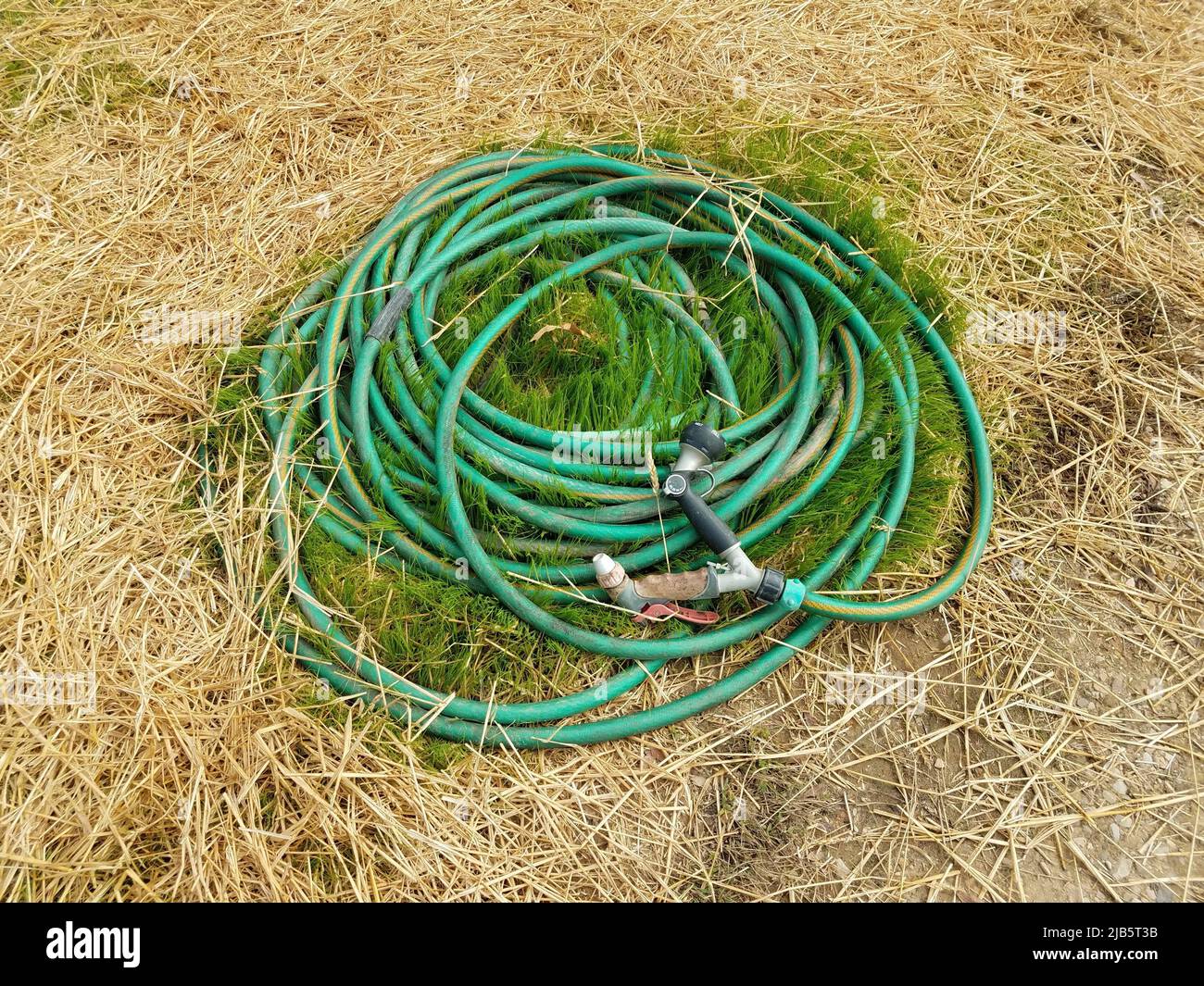 Hose on grass hi-res stock photography and images - Alamy