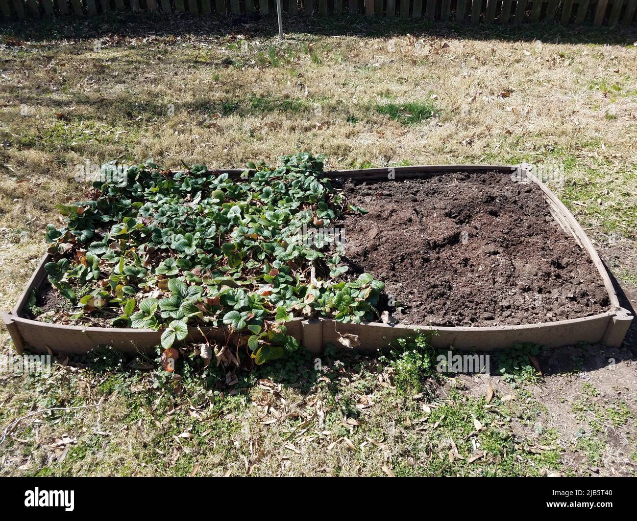 Raised grass hi-res stock photography and images - Alamy