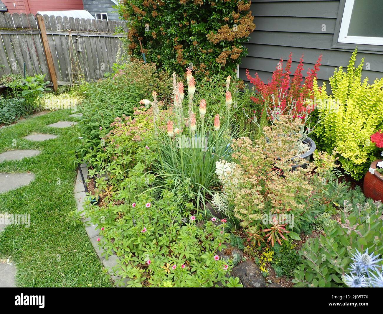 Stepping into nature hi-res stock photography and images - Alamy