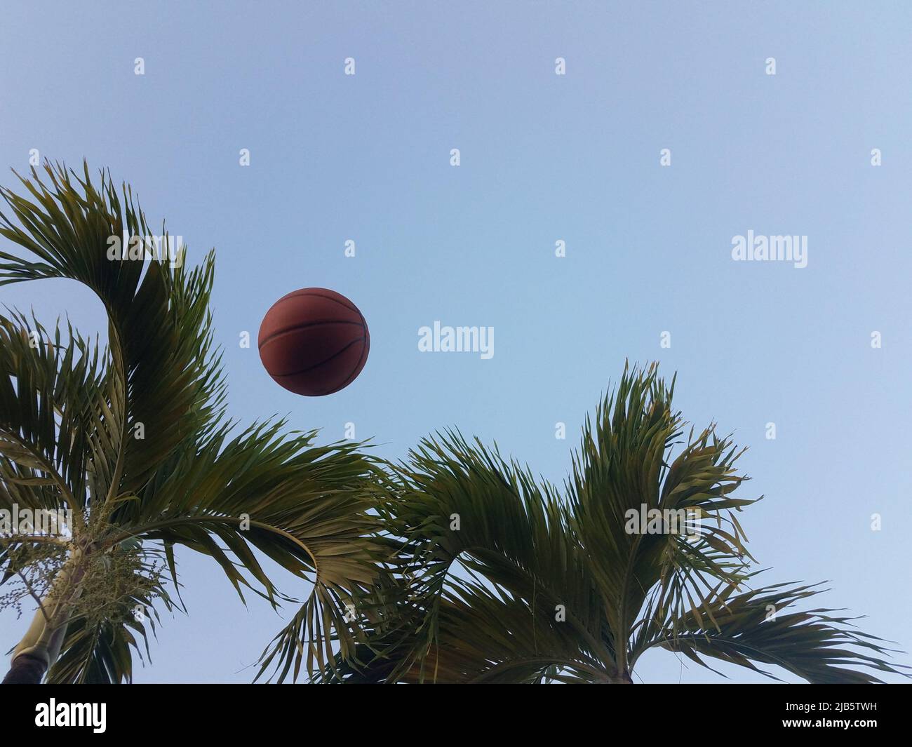 Palm basketball hi-res stock photography and images - Alamy