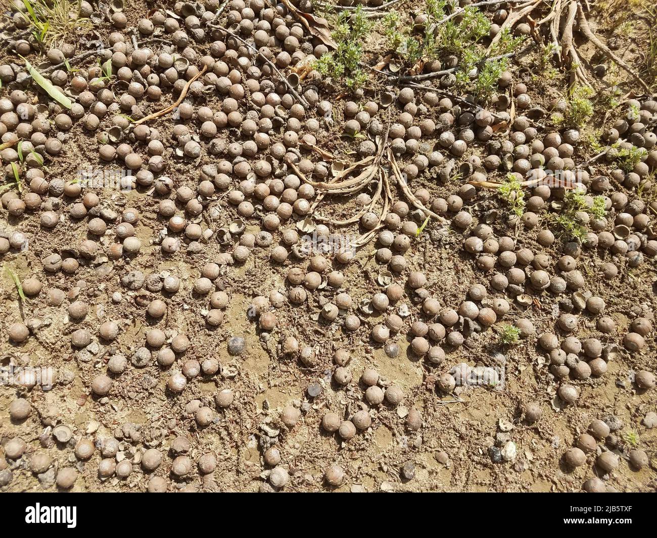 Dirty ground hi-res stock photography and images - Alamy