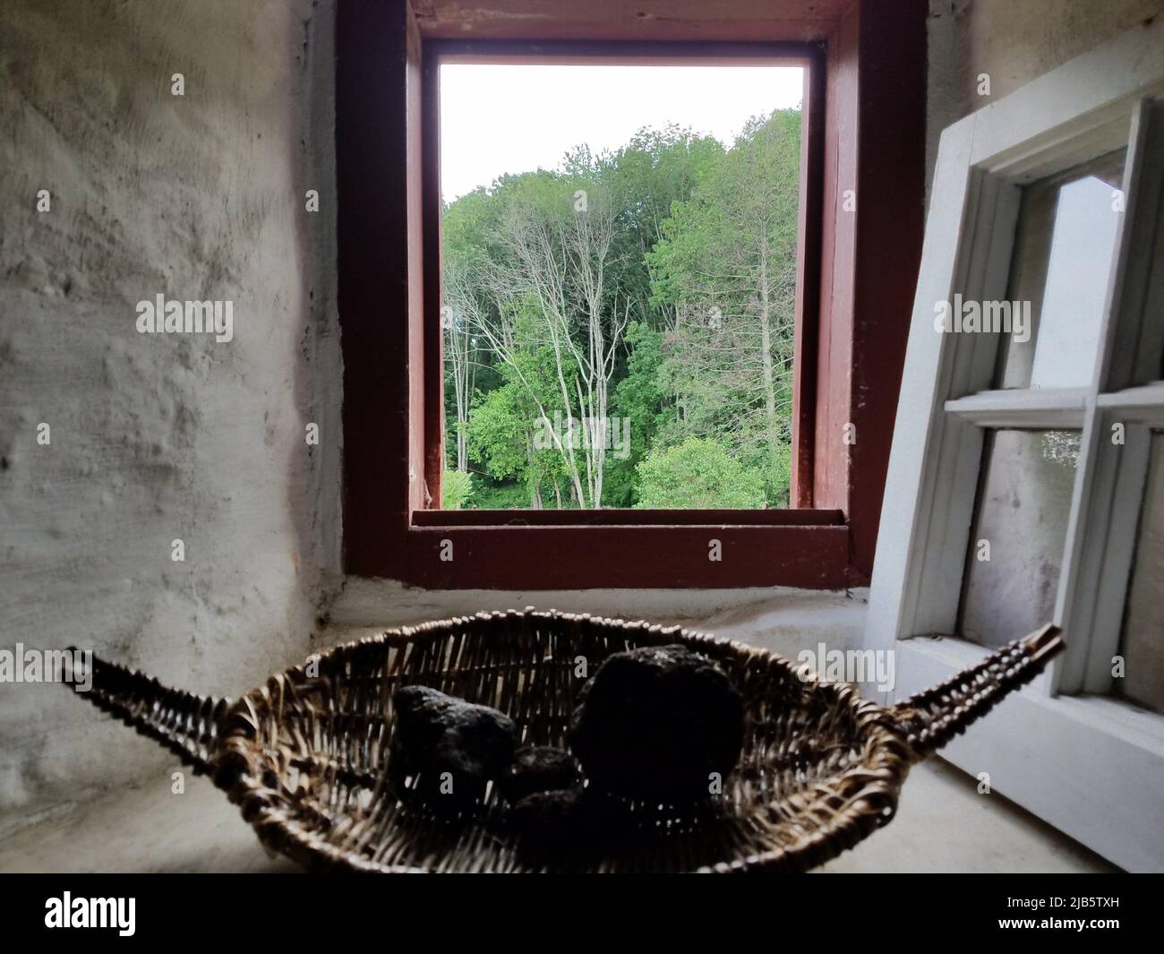 trees outside and window with window sill and a basket Stock Photo - Alamy