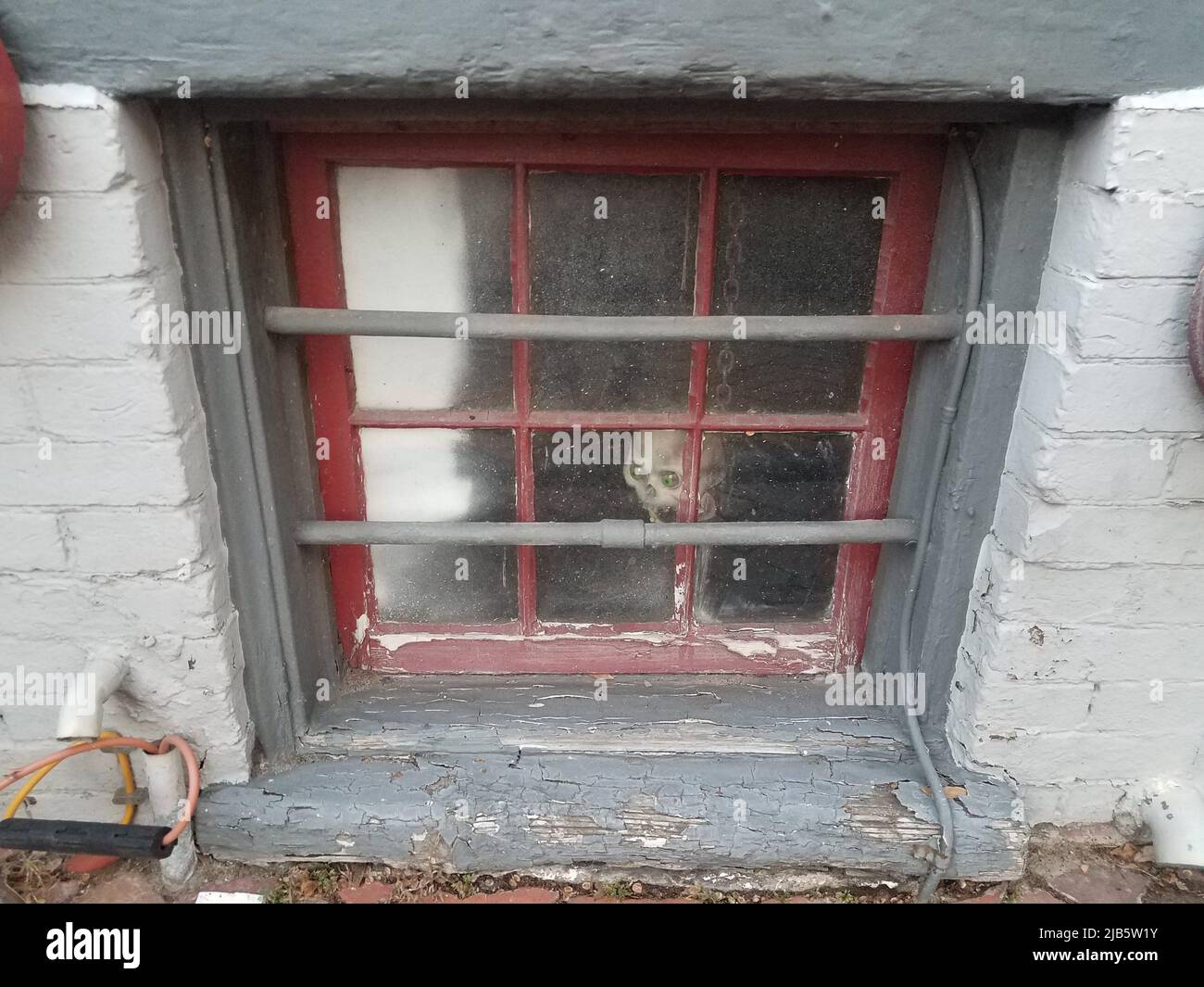 basement window with skull decoration and bars and weathered wood Stock ...