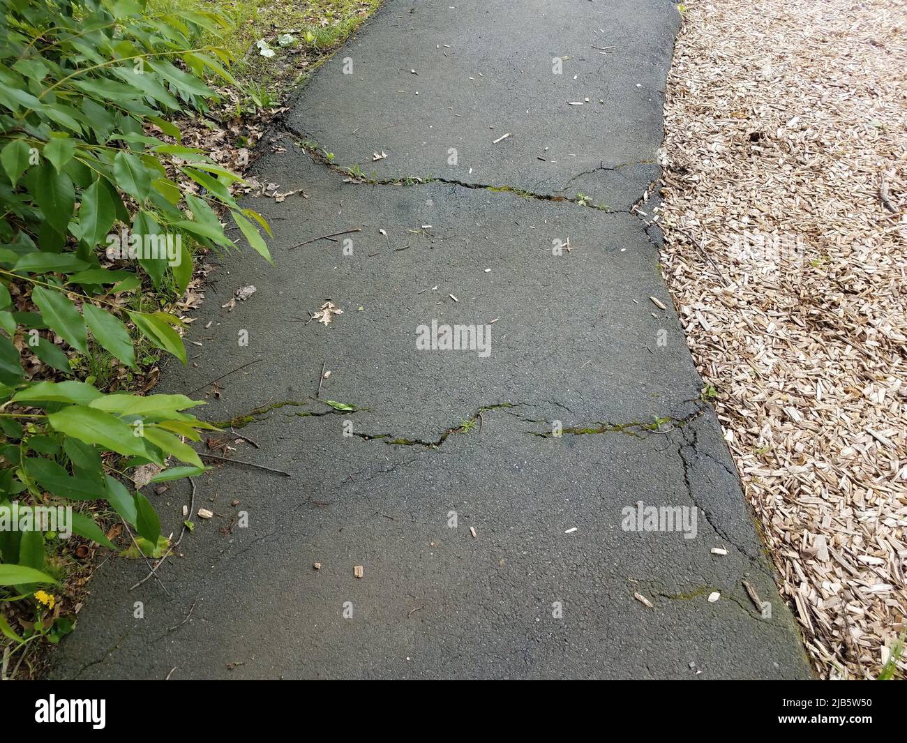 black asphalt trail or path with cracks and grass and wood chips Stock ...