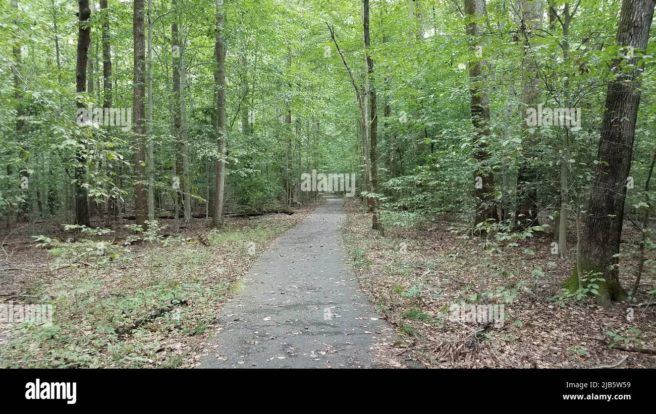 Asphalt path hi-res stock photography and images - Alamy