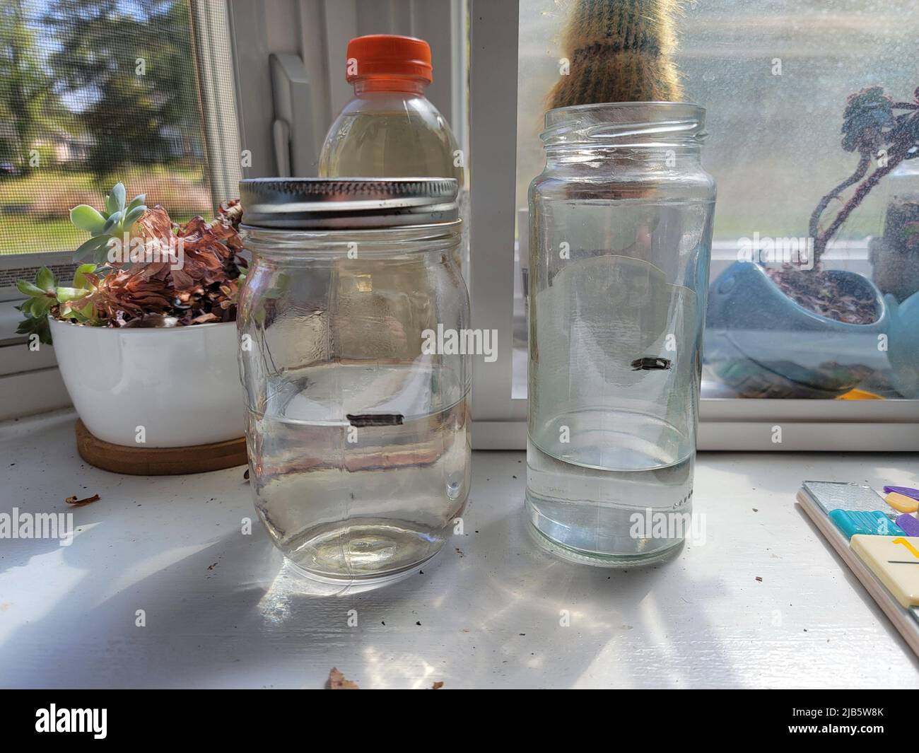 Measurement jar hi-res stock photography and images - Alamy