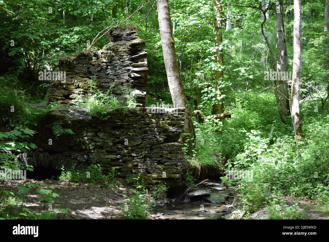 old ruin in the forest Stock Photo - Alamy