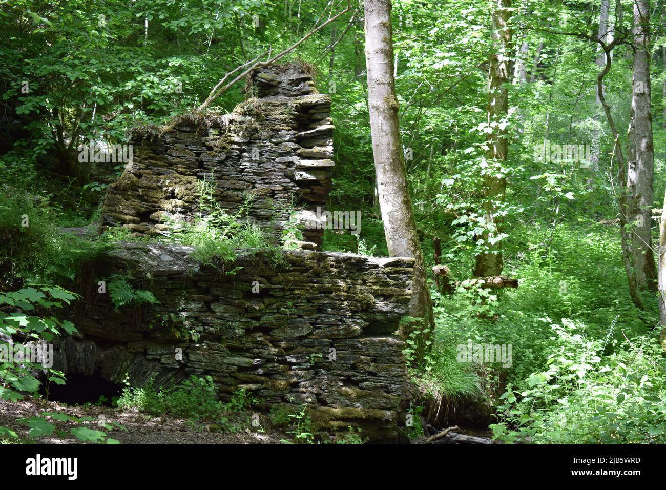 old ruin in the forest Stock Photo - Alamy