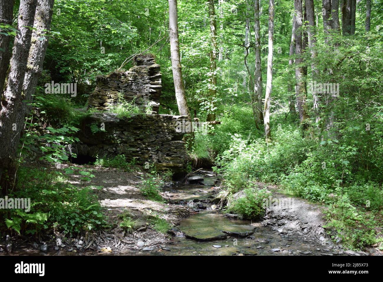 old ruin in the forest Stock Photo - Alamy