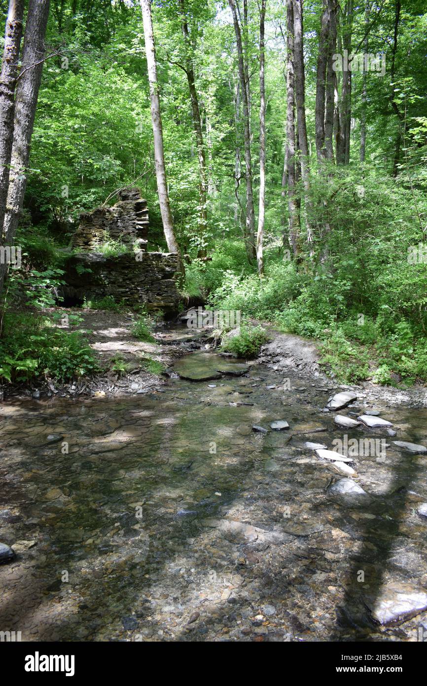 old ruin in the forest Stock Photo - Alamy