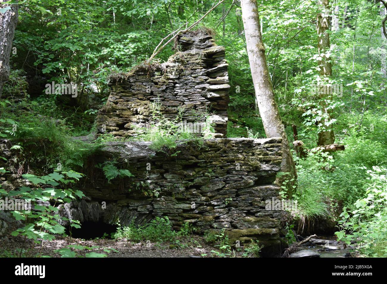 old ruin in the forest Stock Photo - Alamy