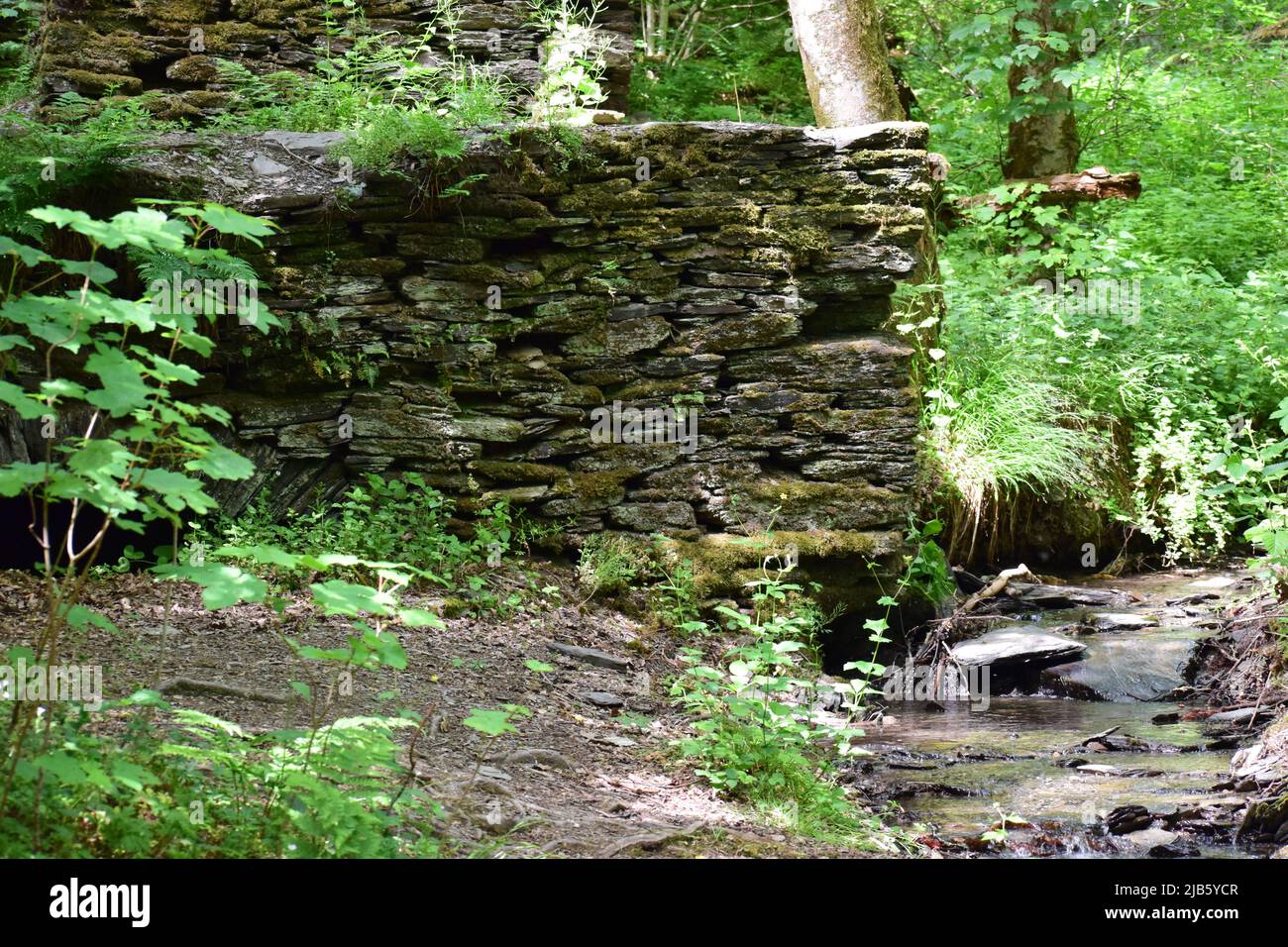 old ruin in the forest Stock Photo - Alamy