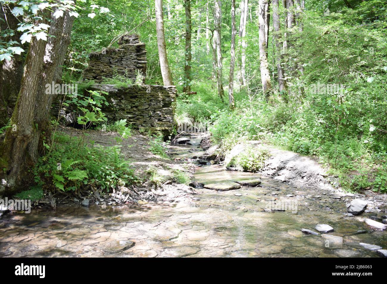 old ruin in the forest Stock Photo - Alamy