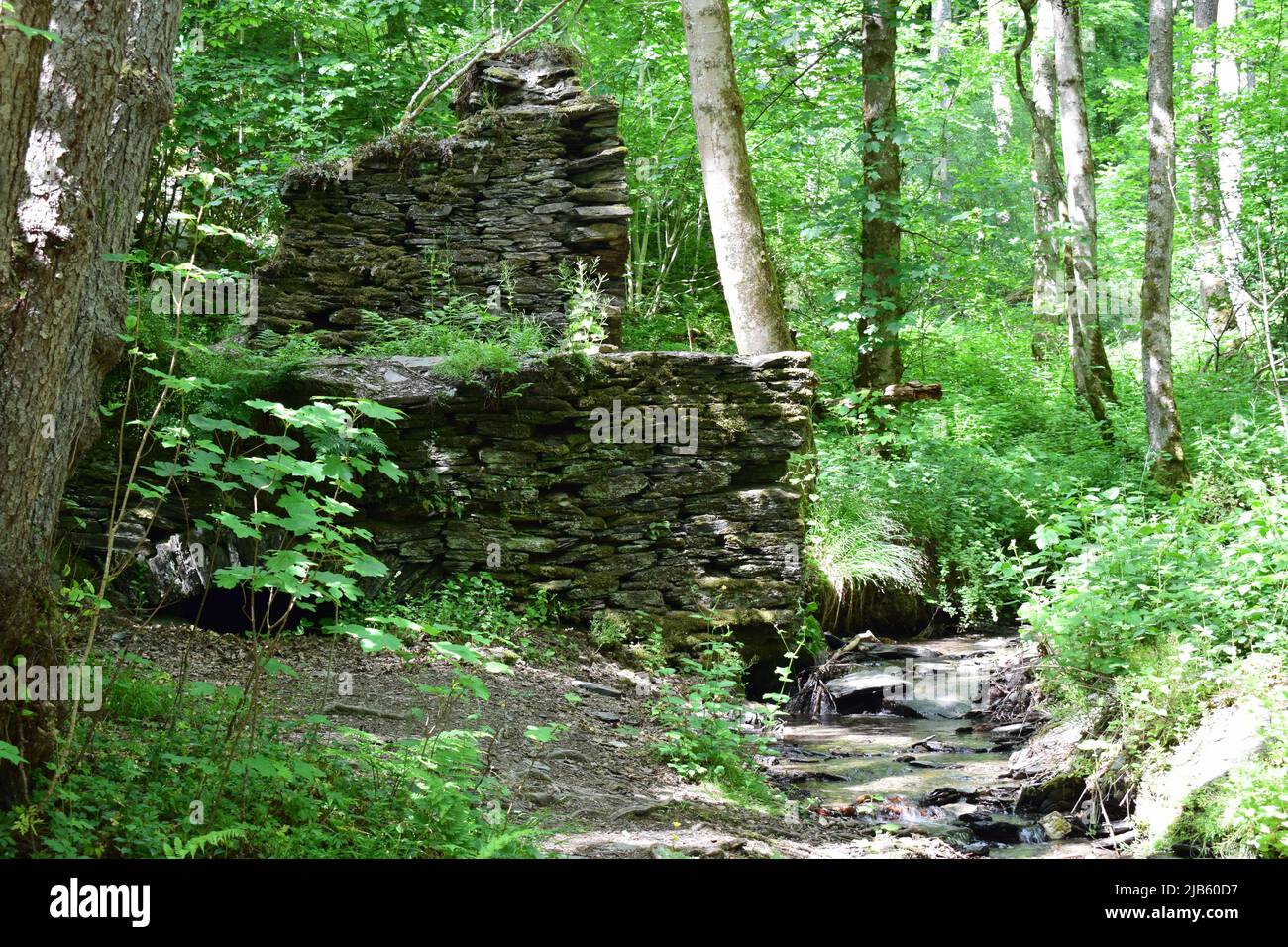 old ruin in the forest Stock Photo - Alamy