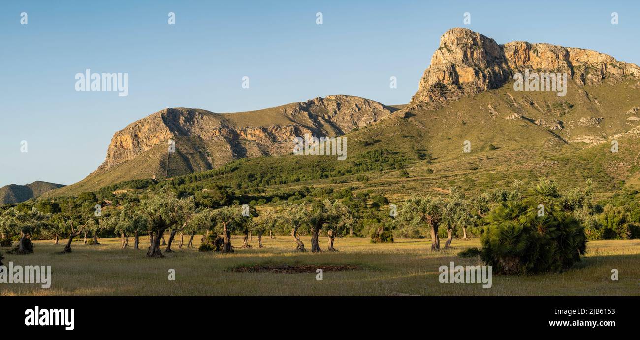 Llevant peninsula natural park hi-res stock photography and images - Alamy