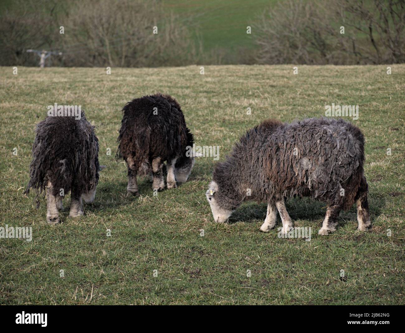 Standedge Edge High Resolution Stock Photography and Images - Alamy