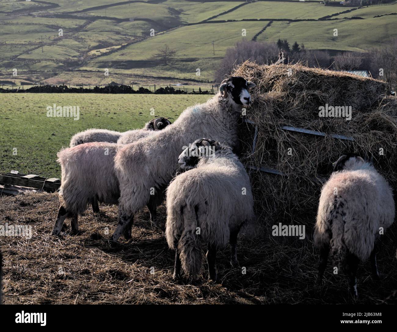 Standedge edge hi-res stock photography and images - Alamy