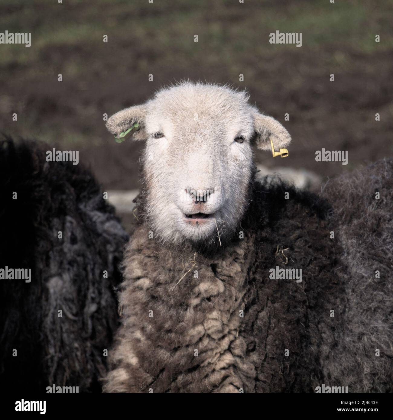 Standedge Edge High Resolution Stock Photography and Images - Alamy