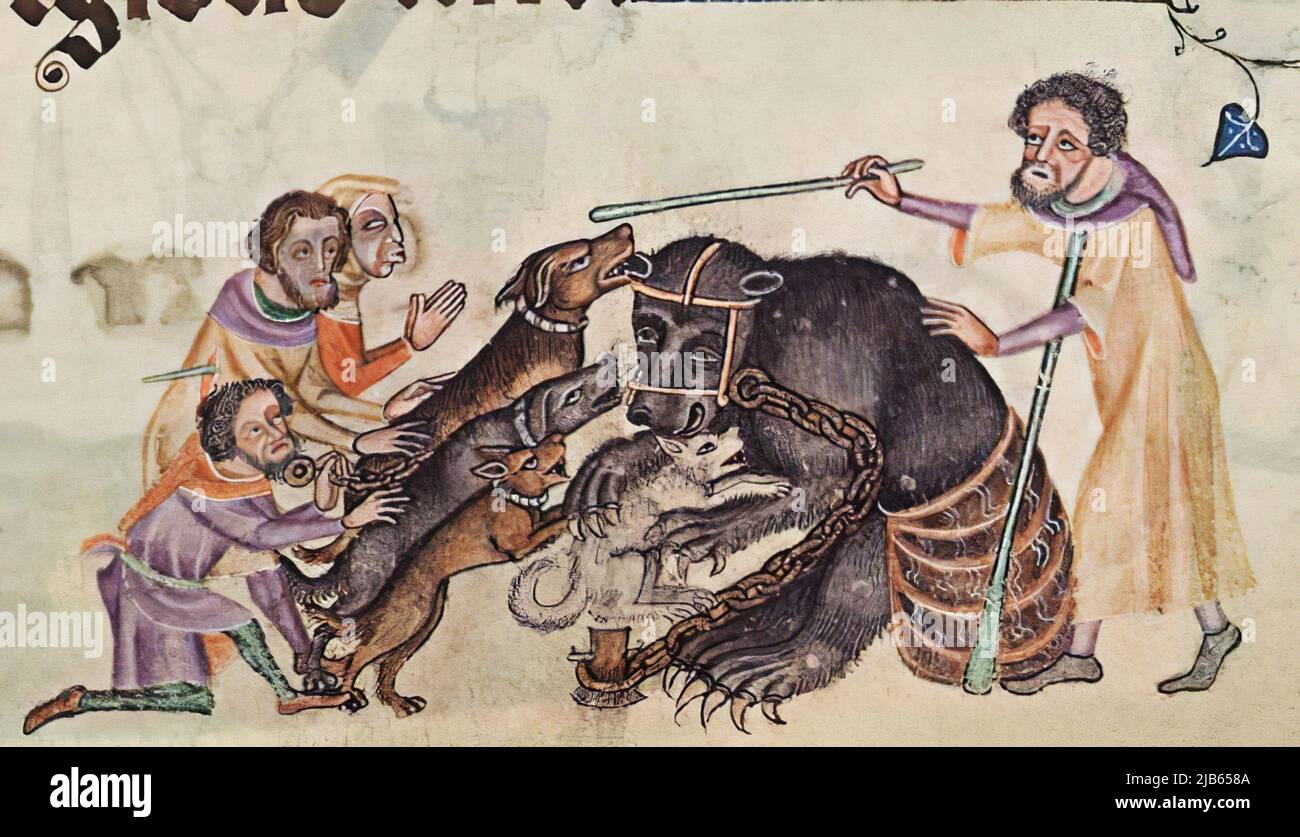 Baiting attack hi-res stock photography and images - Alamy