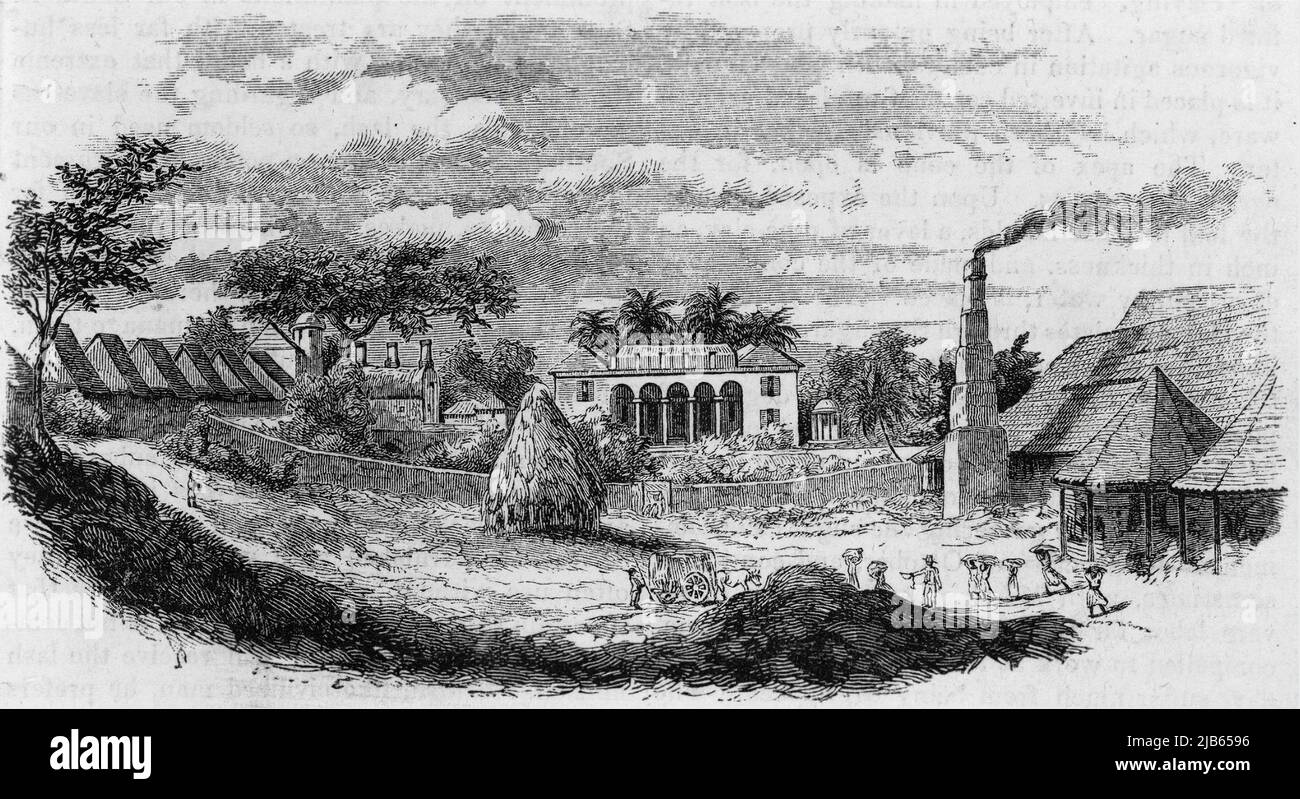 Plantation owners 1800s hi-res stock photography and images - Alamy