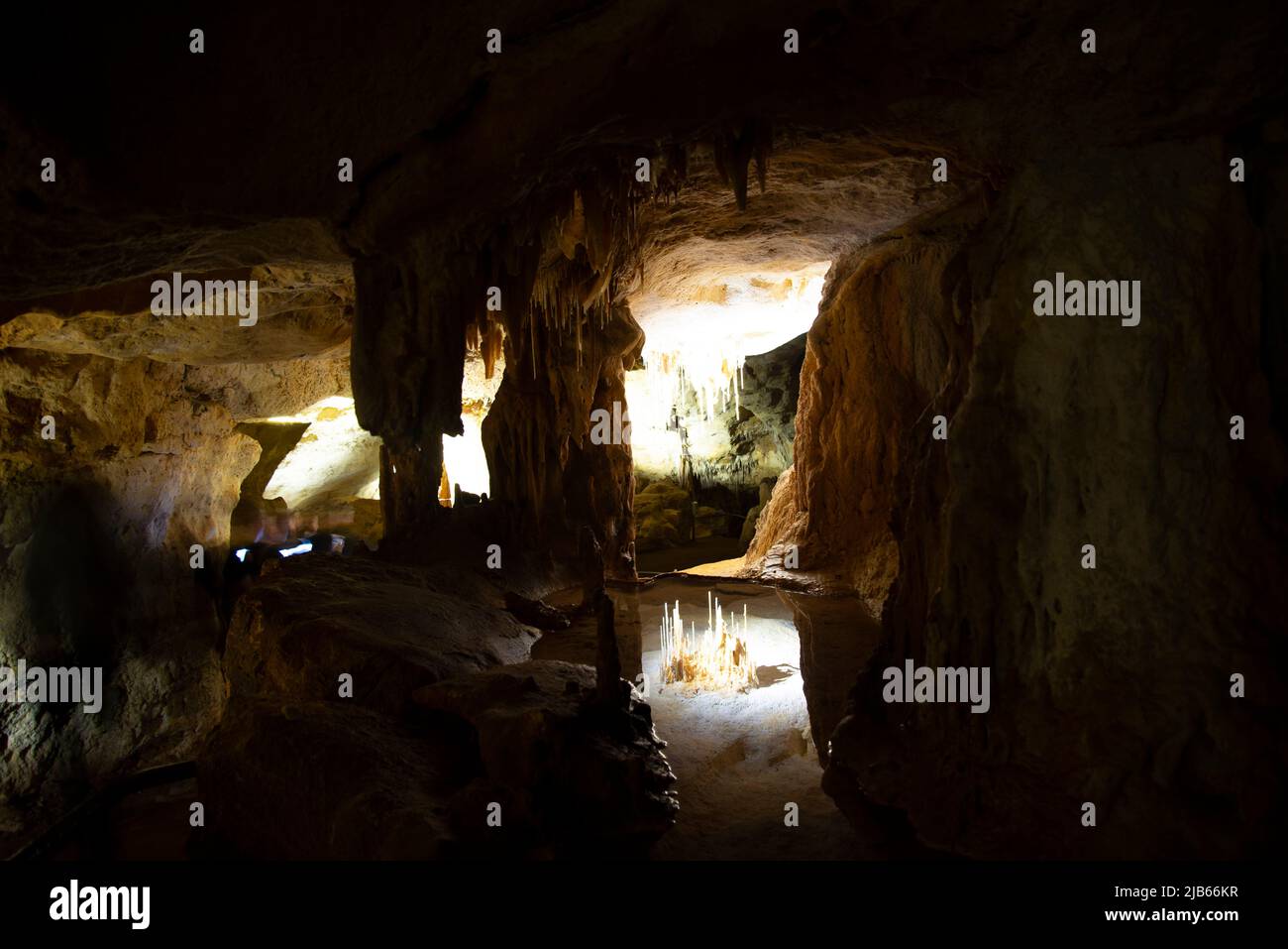 Alexandra Cave in Naracoorte - Australia Stock Photo - Alamy