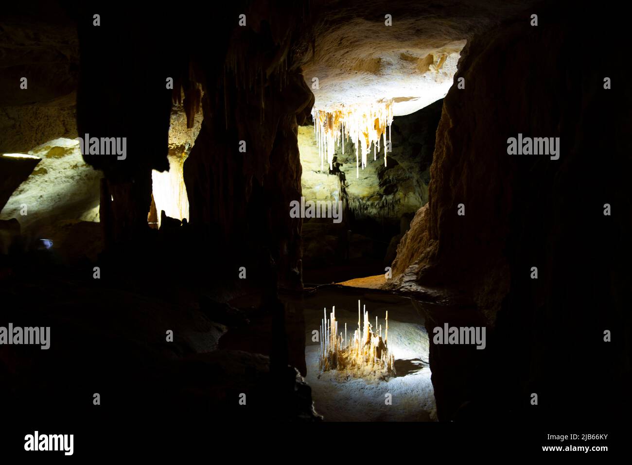 Alexandra Cave in Naracoorte - Australia Stock Photo - Alamy