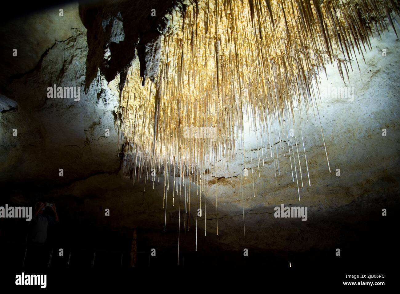 Alexandra Cave in Naracoorte - Australia Stock Photo - Alamy