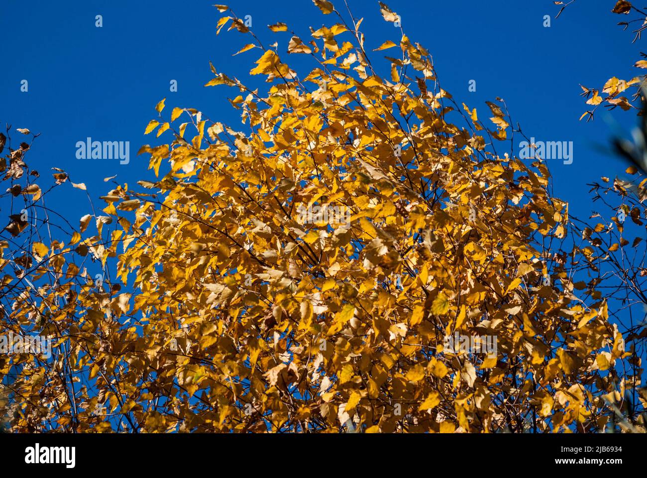 Bellano lake como hi-res stock photography and images - Alamy