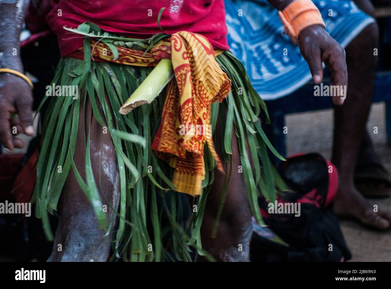 Costume madagascar hi-res stock photography and images - Alamy