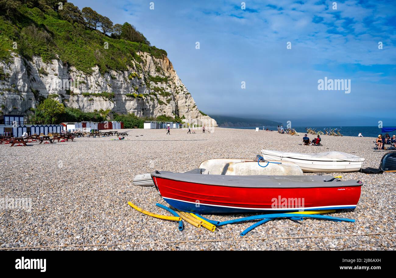 Boats on the shingle beach and limestone cliffs at Beer, Devon, UK ...