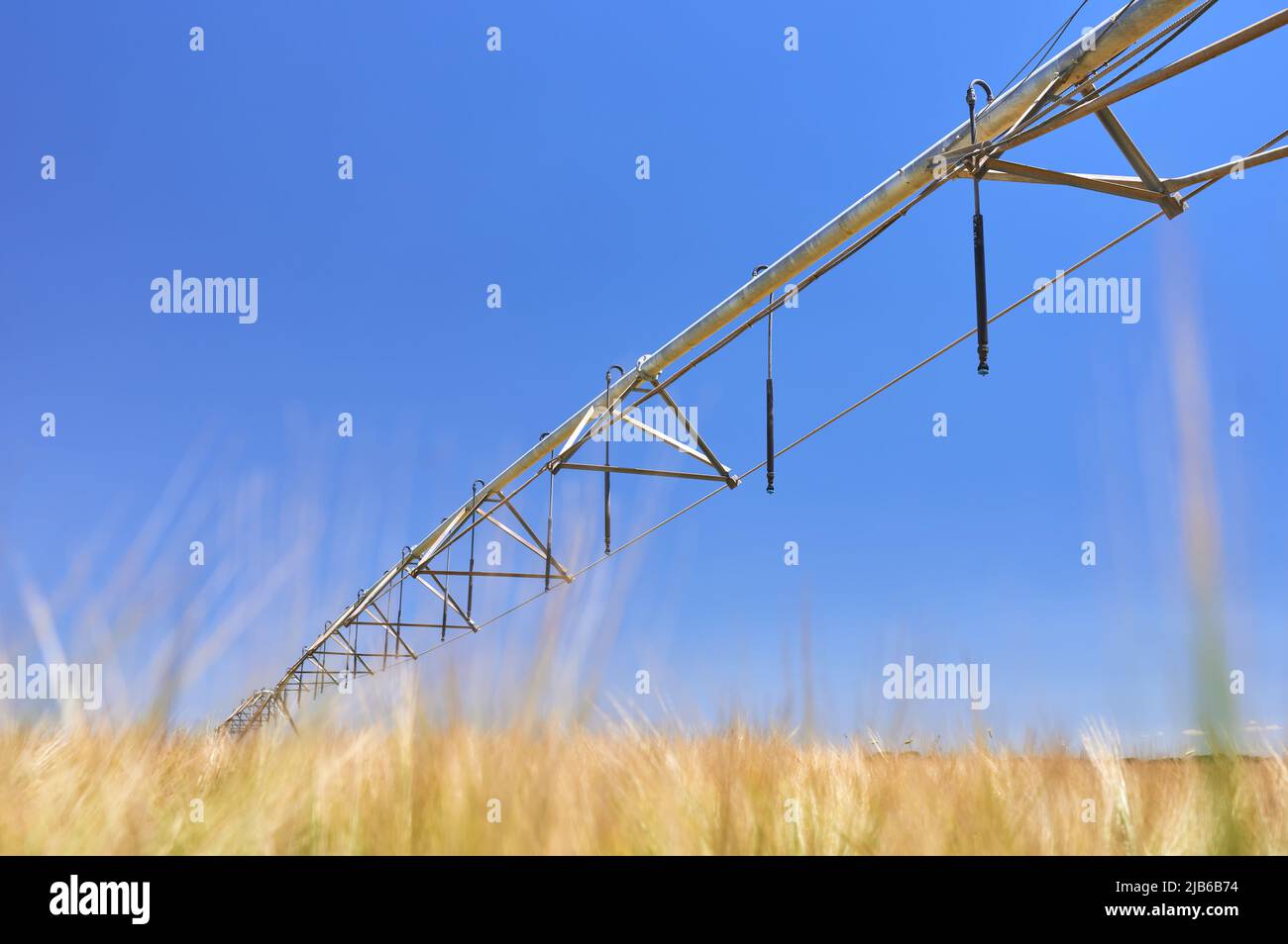 detail of a circular pivot irrigation system in a cereal field before ...