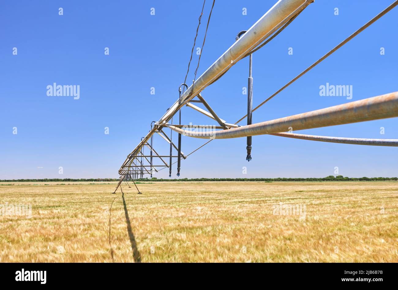 detail of a circular pivot irrigation system in a cereal field before ...