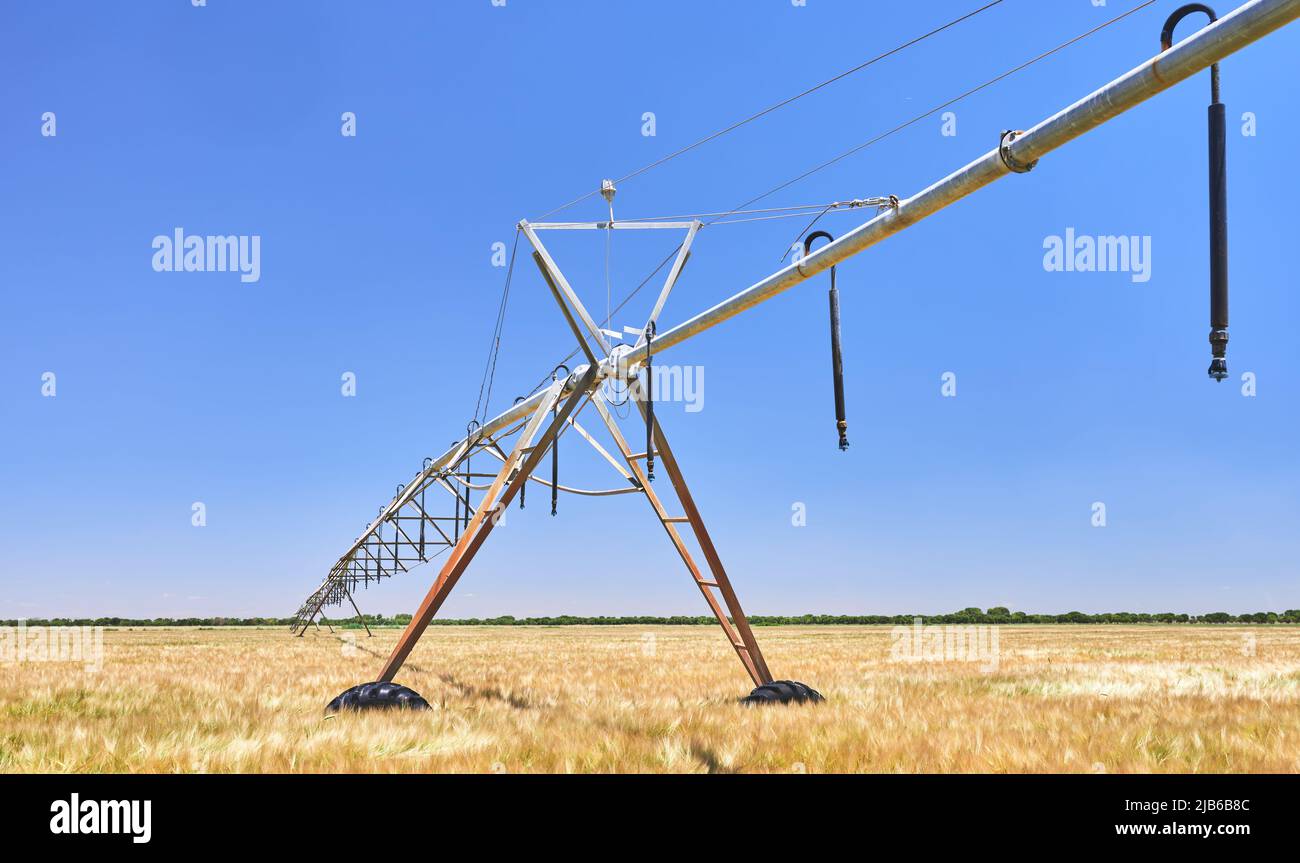 detail of a circular pivot irrigation system in a cereal field before ...