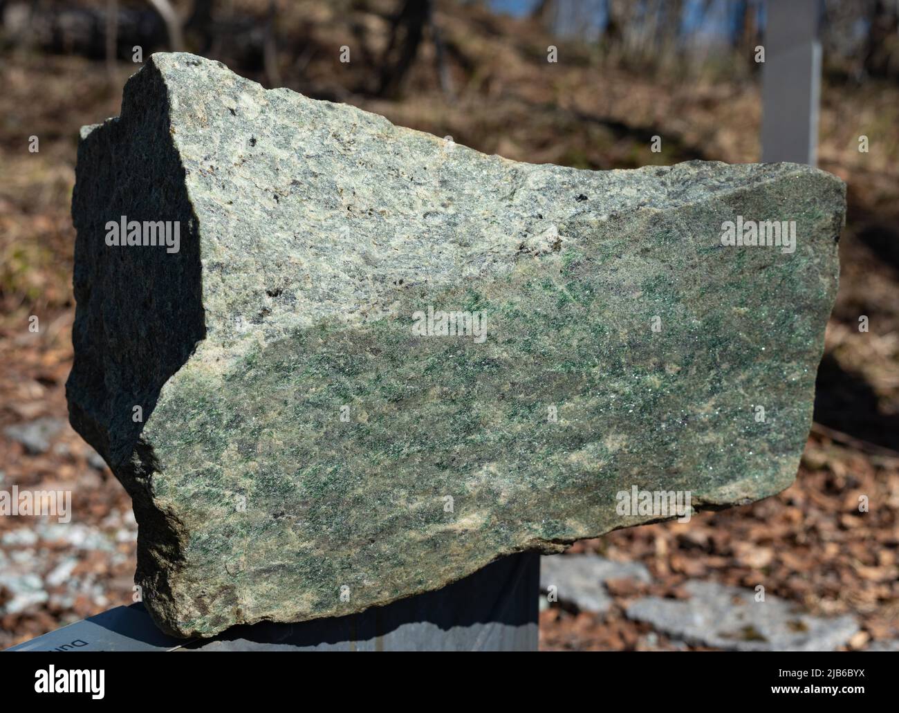 Dunite at The Arctic University Museum of Norway in Tromsø. Rock from ...