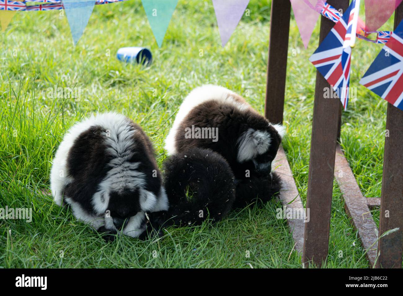 Platinum jubilee of elizabeth ii hi-res stock photography and images ...