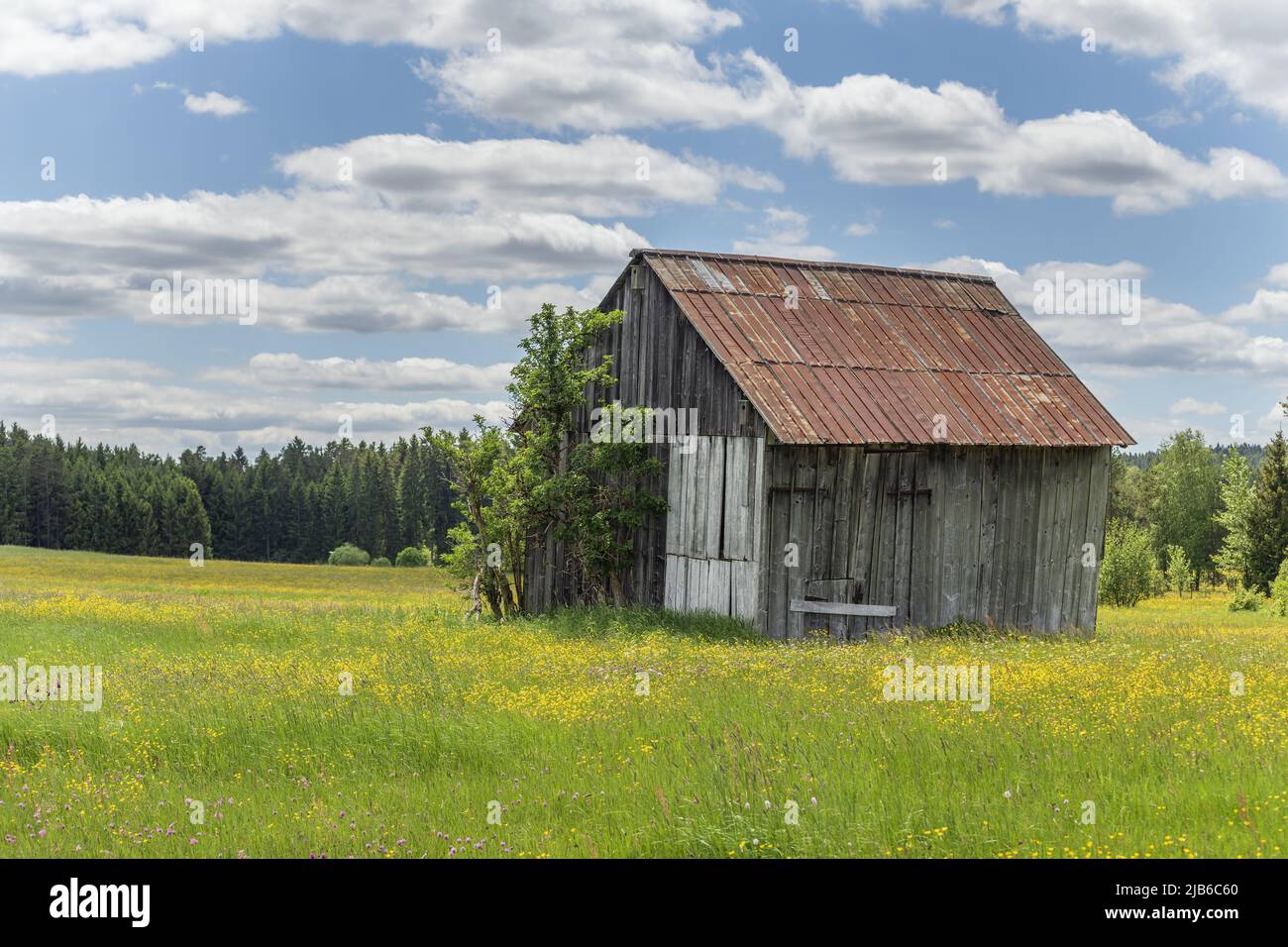 Hut in the nature reserve of Rotenbach meadows in High Black Forest ...