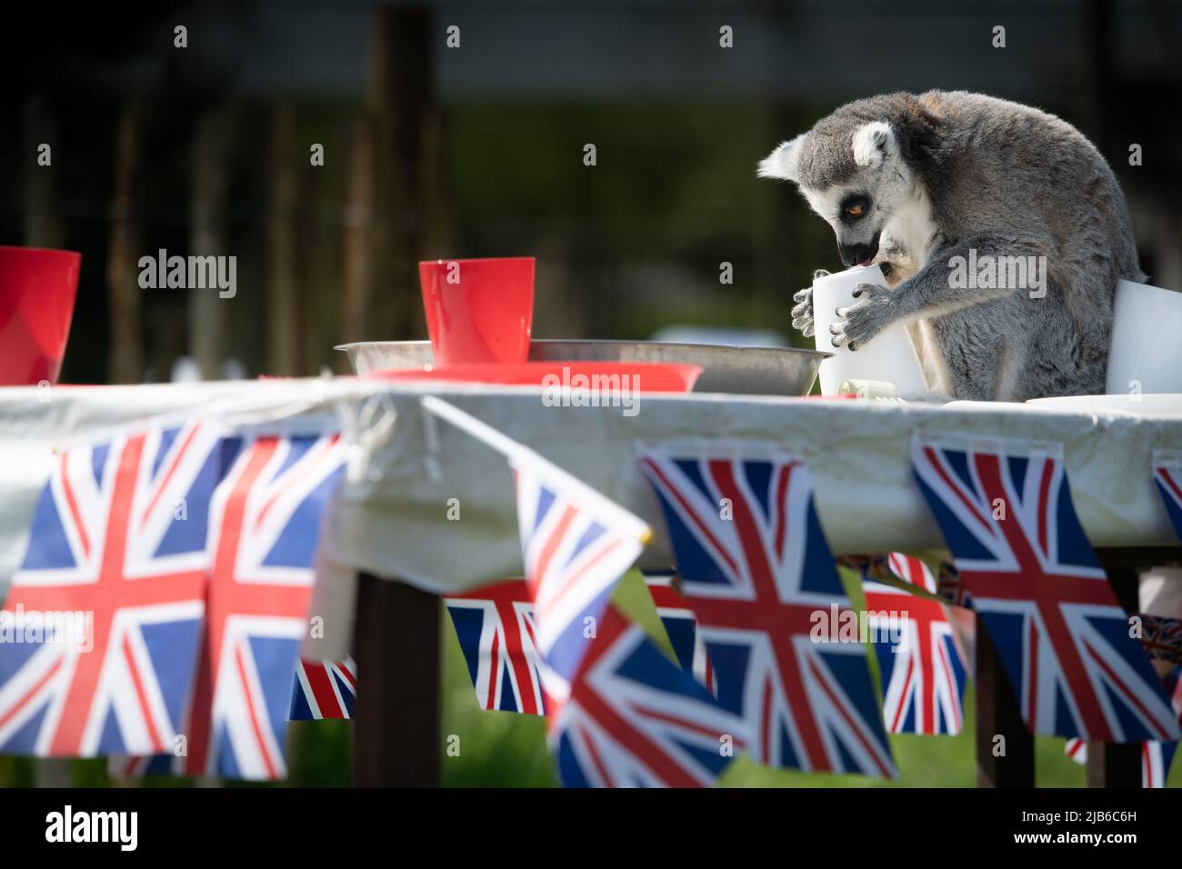 Platinum jubilee of elizabeth ii hi-res stock photography and images ...