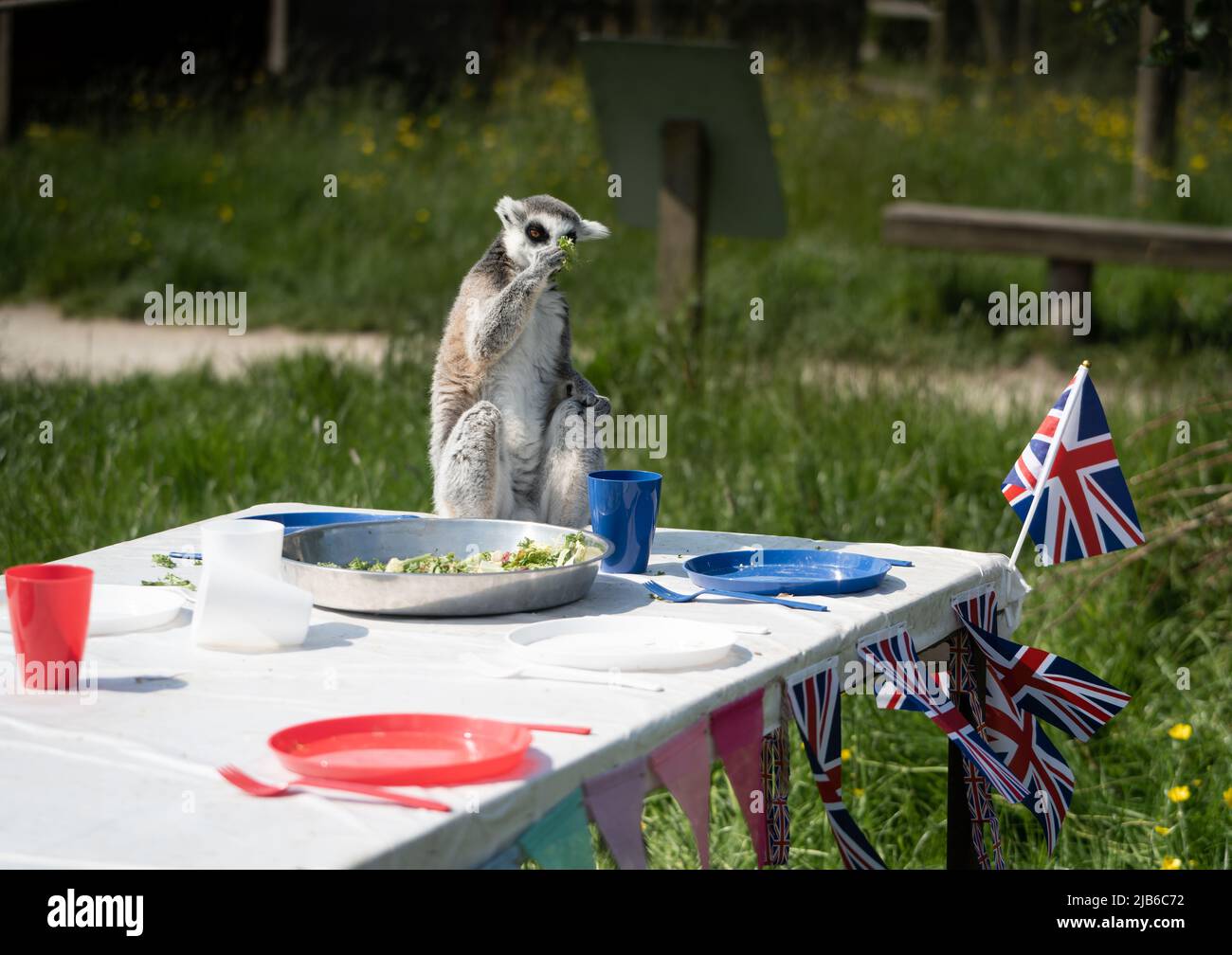 Platinum jubilee of elizabeth ii hi-res stock photography and images ...