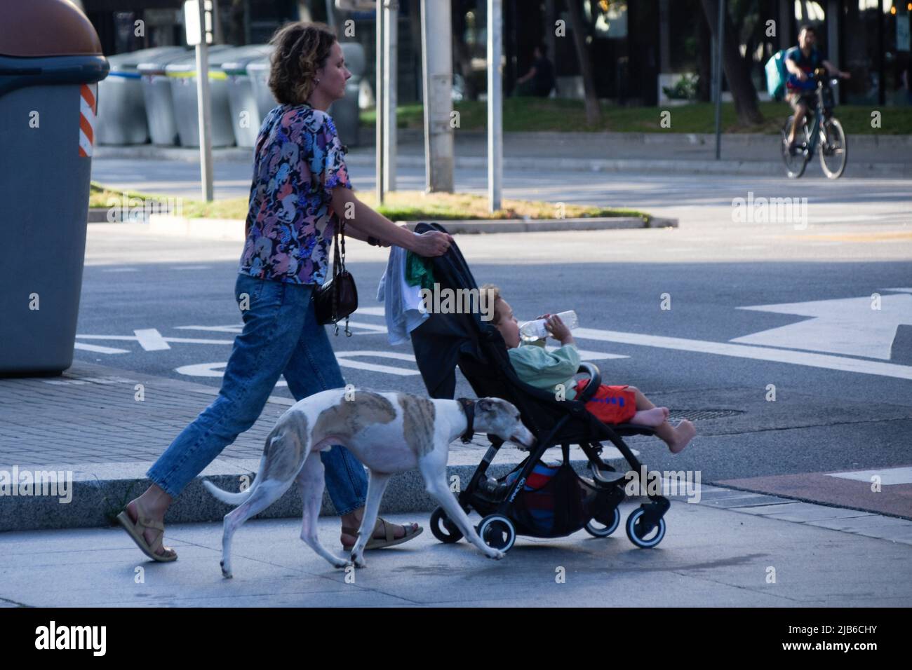 Young mother pushing the stroller with her baby inside while her dog ...
