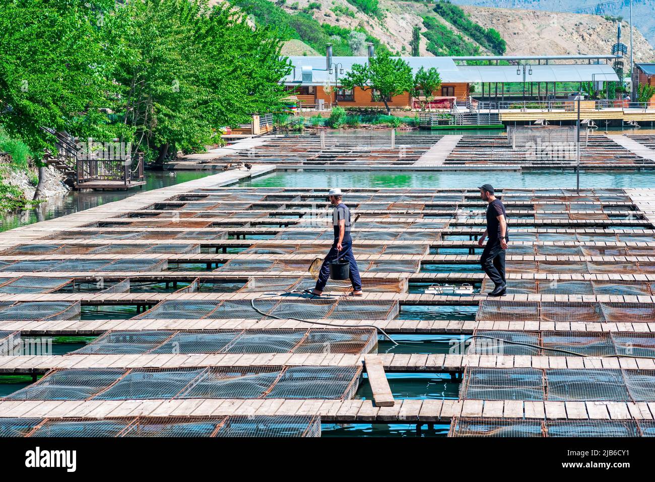 Dagestan, Russia - May 13, 2022: workers at a fish farm with commercial ...
