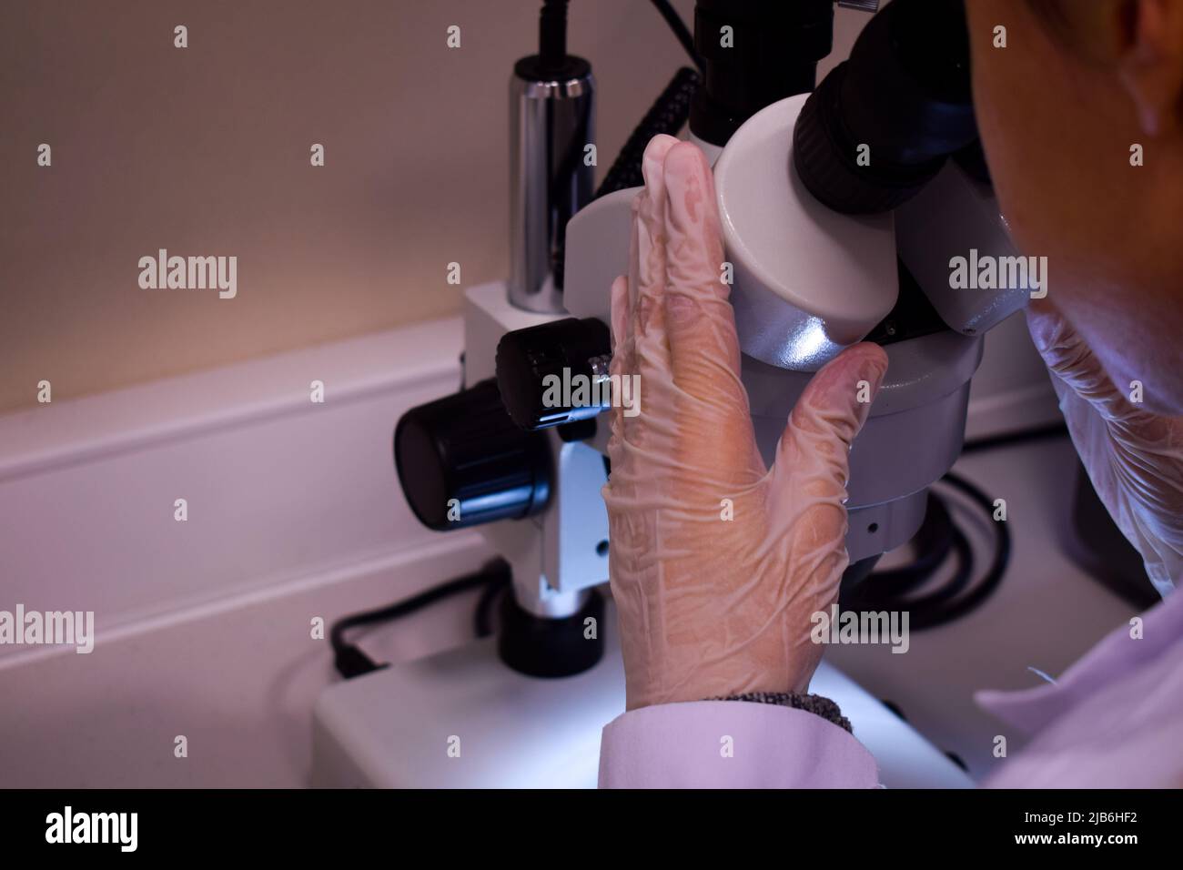 Researcher looking over a light microscope to the cells Stock Photo - Alamy